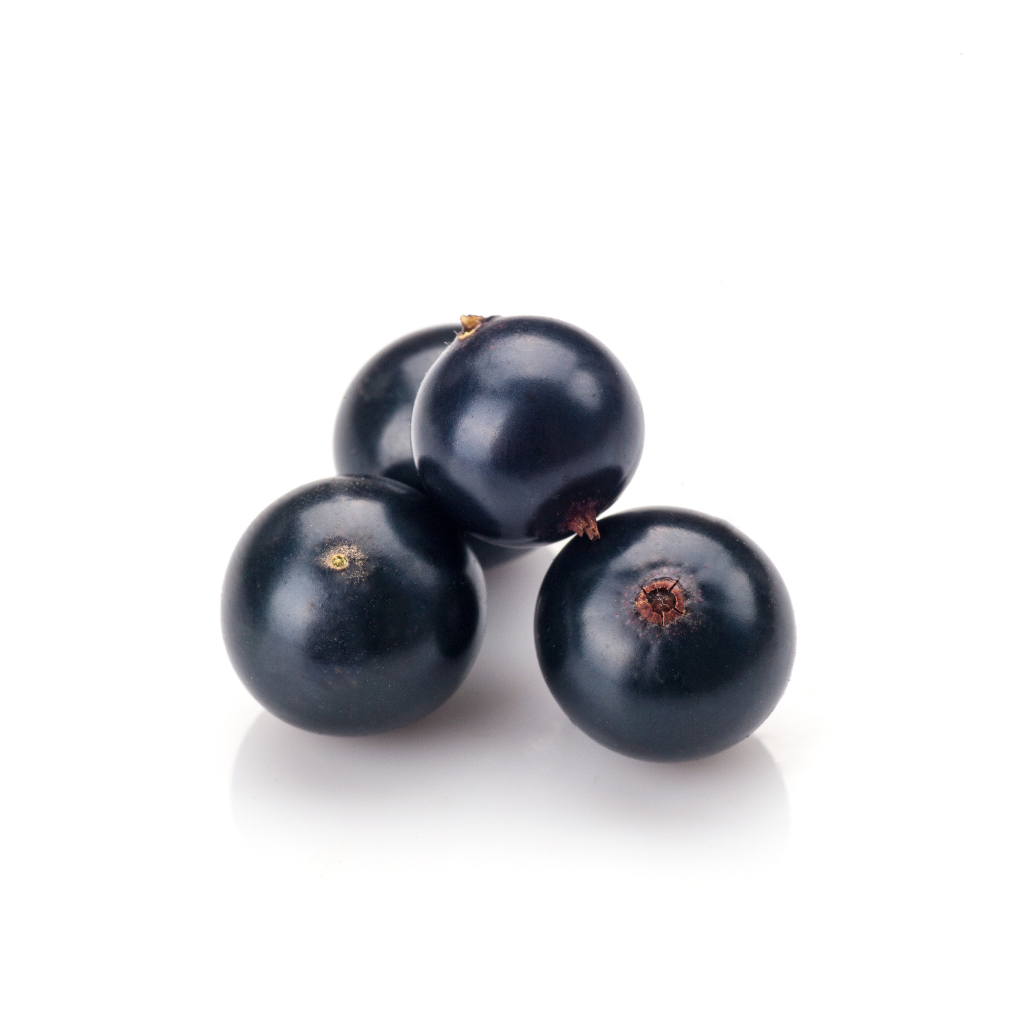 Super Aromas - Black Currant Concentrate │BLCK Flavour