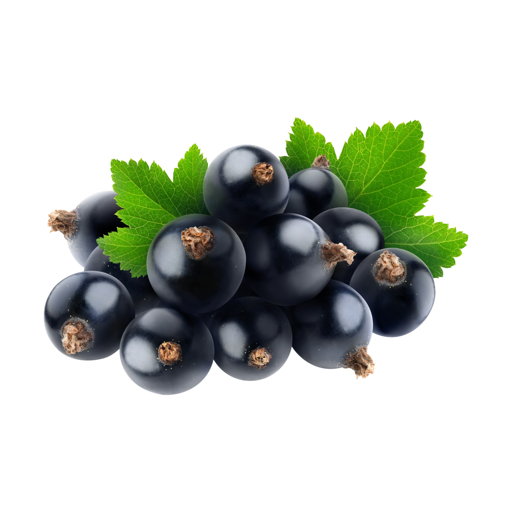 FlavourArt - Black Currant Concentrate │BLCK Flavour