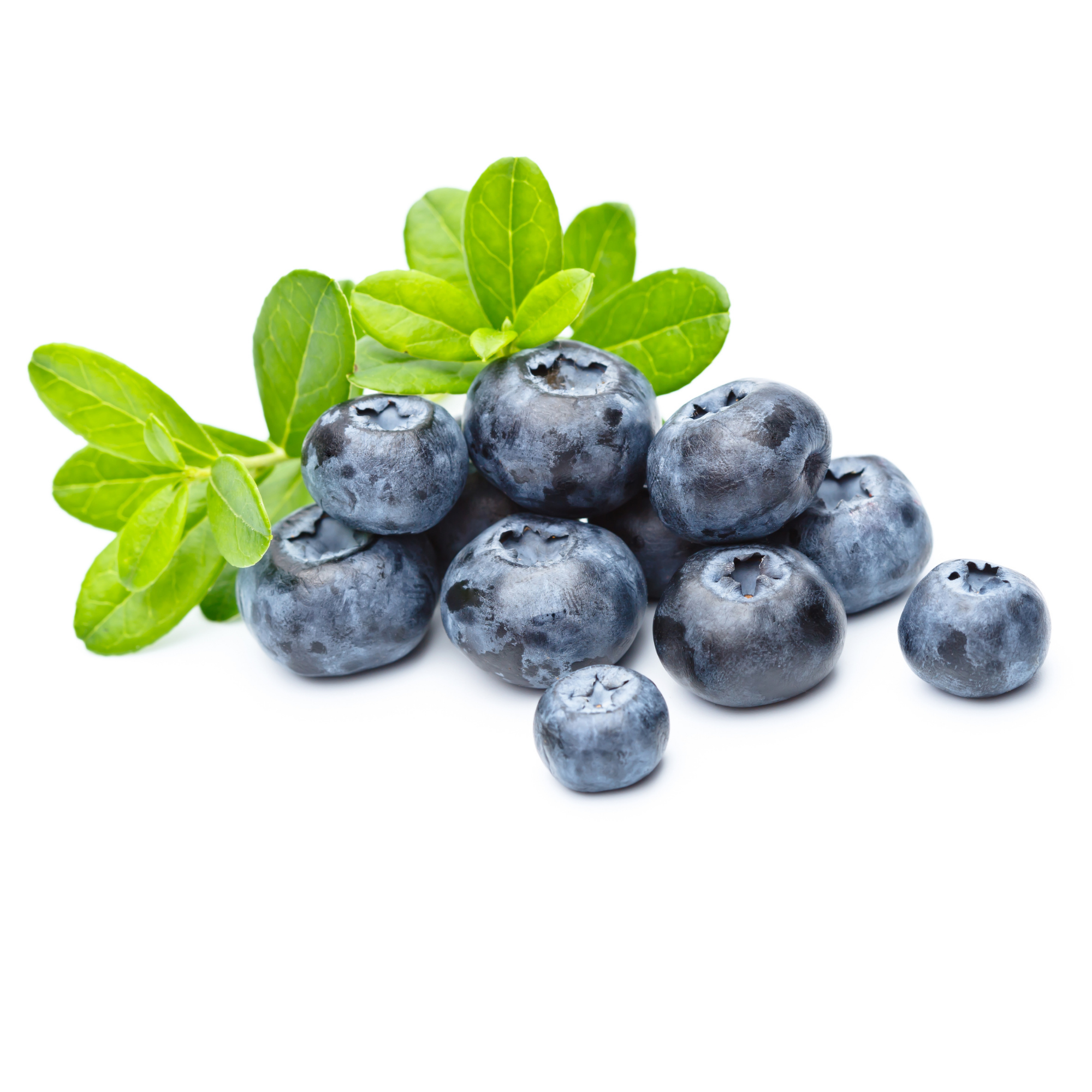 Flavor Jungle - Blueberry Concentrate │BLCK Flavour