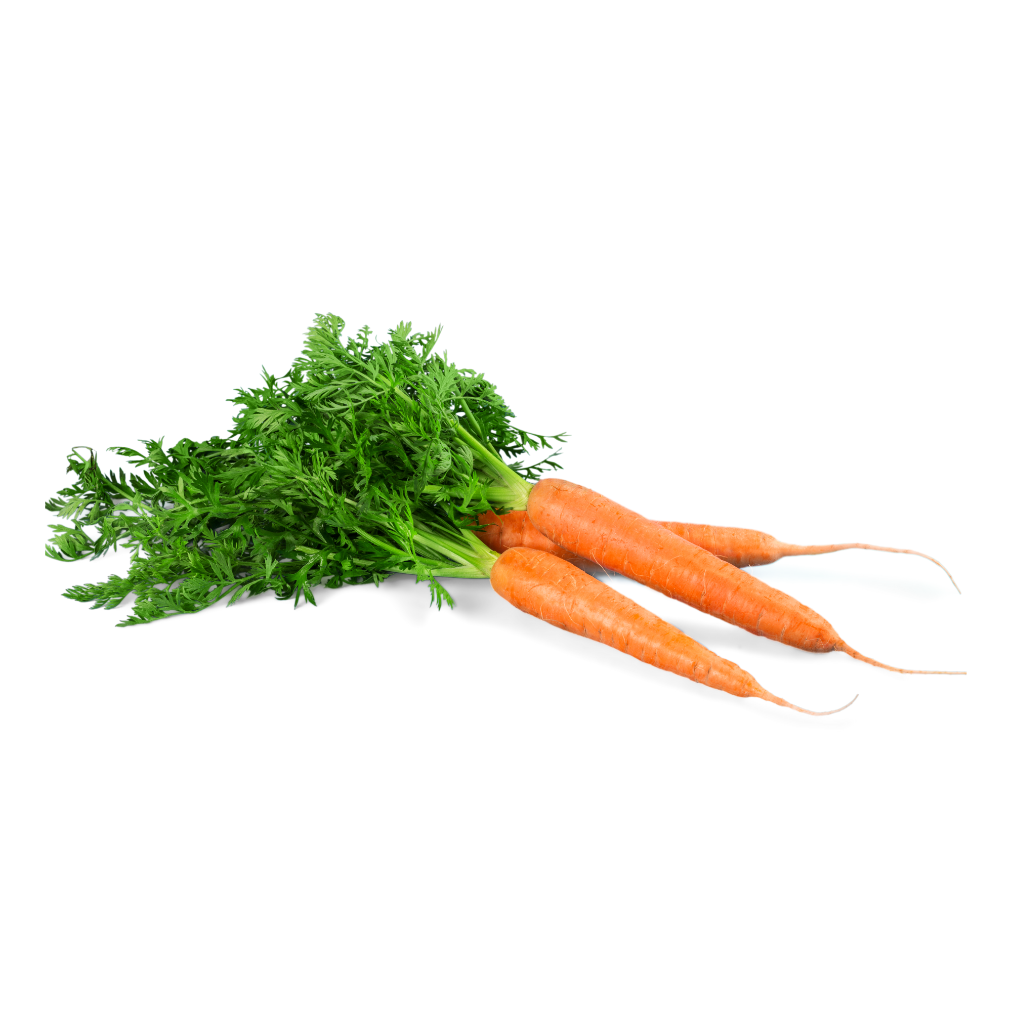 Carrot Vape Concentrate (FLV) - BLCK Flavour