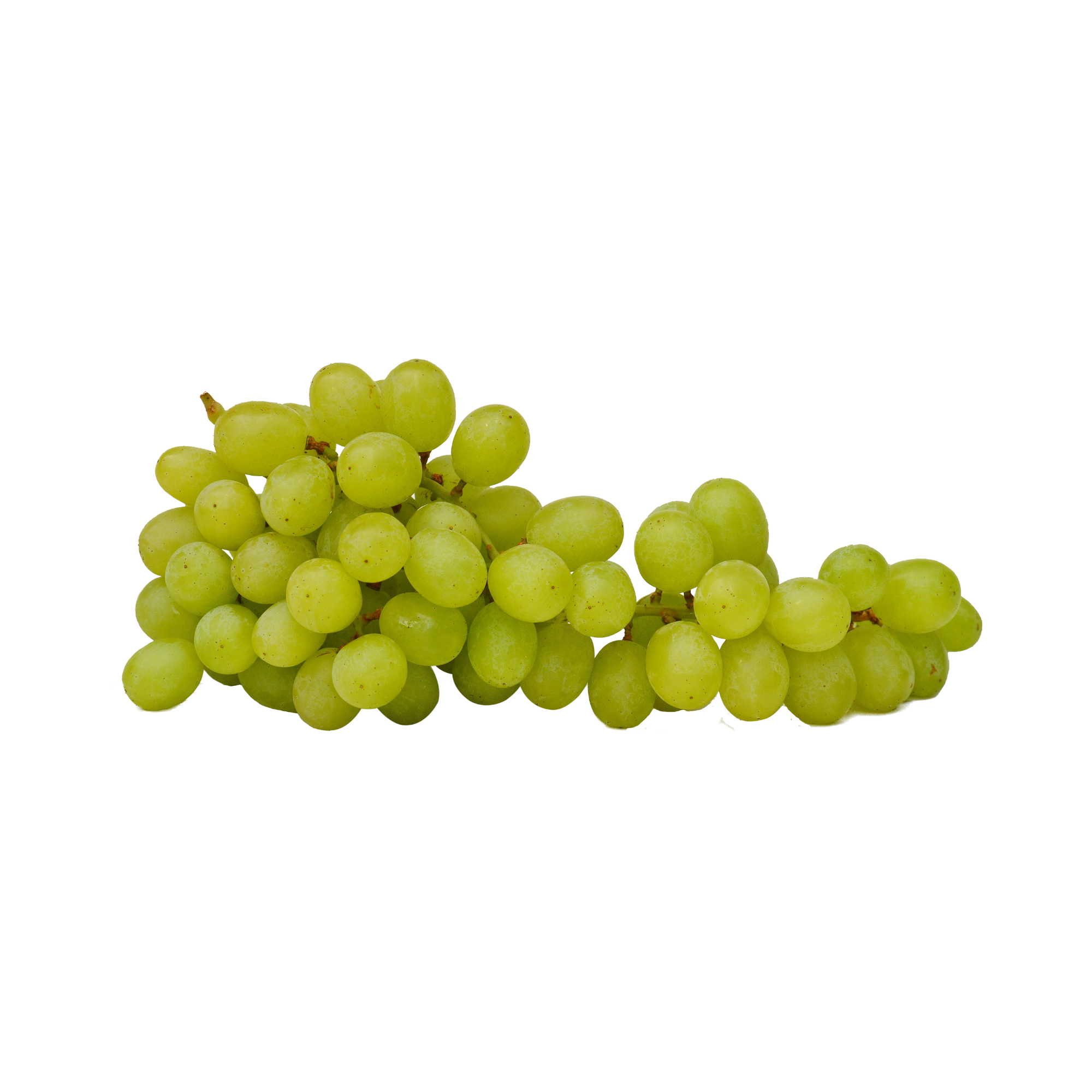 Yin Yang - Grape Concentrate - Available at BLCK Flavour
