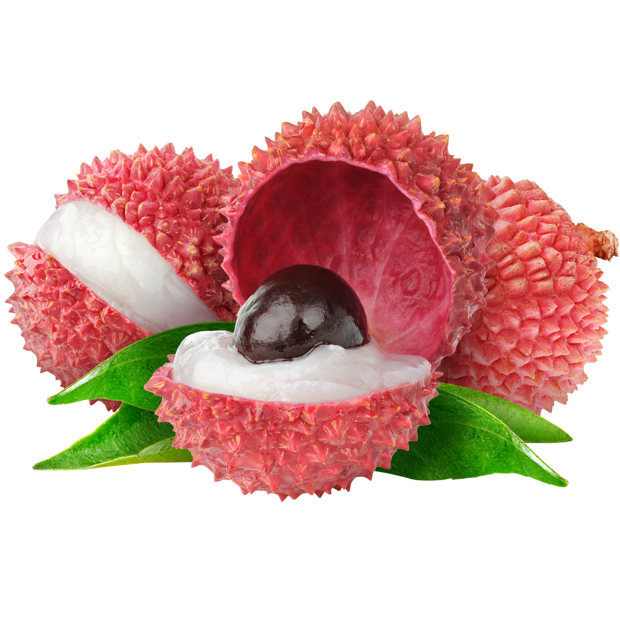 Lychee Flavour Concentrate – Frandy | Fresh Tropical Lychee Flavour ...